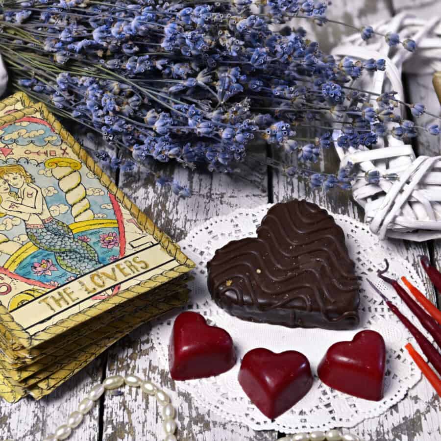 The Sacred Geometry of Nautilus Shells - The Alchemist's Kitchen