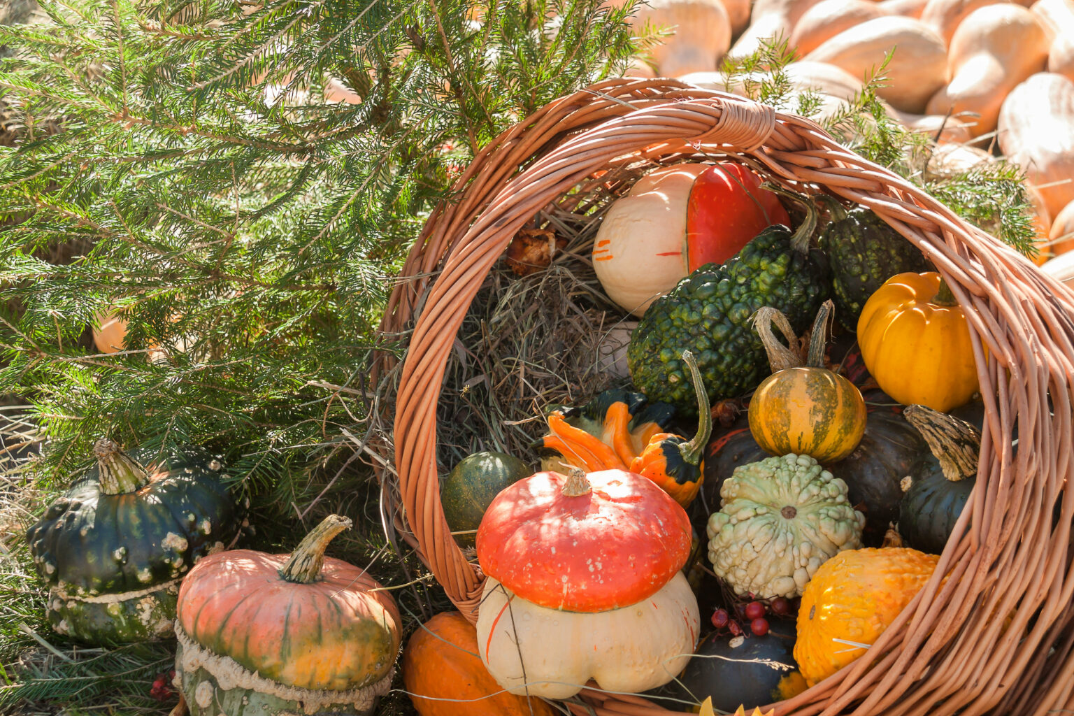 Mabon: The Autumnal Equinox - The Alchemist's Kitchen