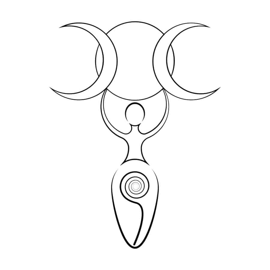 The Sacred Geometry of Nautilus Shells - The Alchemist's Kitchen