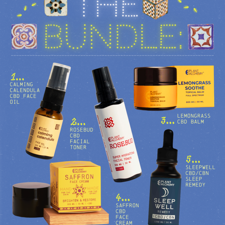 The Sacred Geometry of Nautilus Shells - The Alchemist's Kitchen