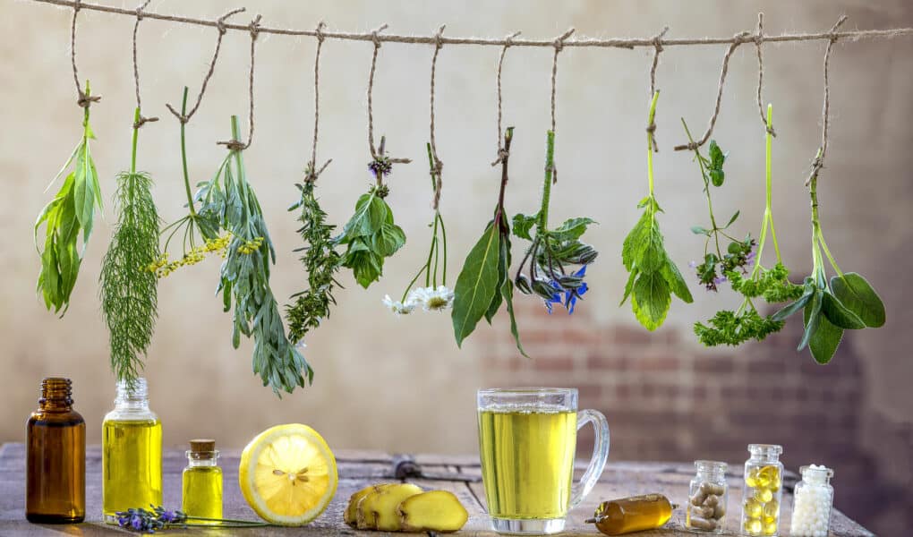 A Witch’s Guide to Magical Herbs - The Alchemist's Kitchen