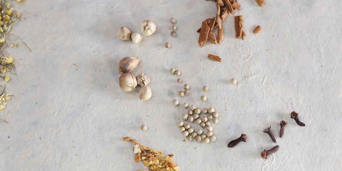 Meet the Maker: Madison + Green | The Alchemist's Kitchen