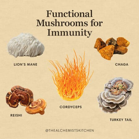Mushrooms for Immunity - The Alchemist's Kitchen