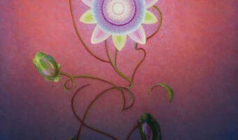 Swedish Folk Magic: Meet the Tomte | The Alchemist's Kitchen