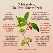 Schisandra: The Five-Flavor Fruit - The Alchemist's Kitchen