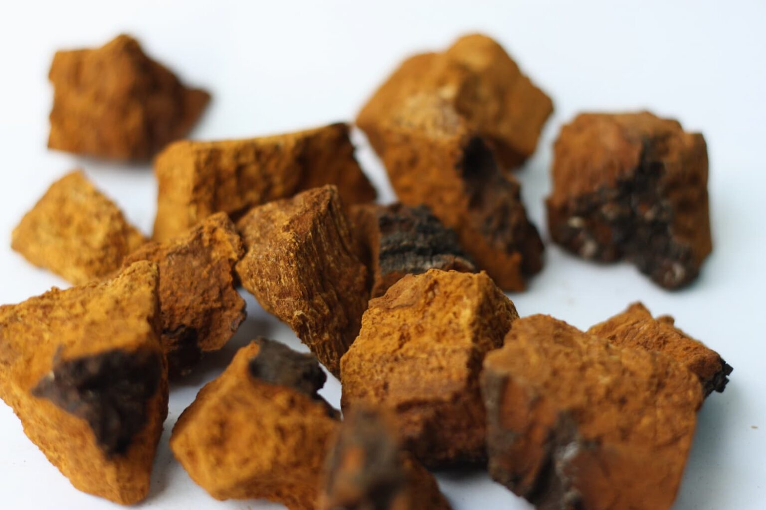 Chaga: The Beauty Secret Growing on Birch Trees - The Alchemist's Kitchen