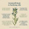 Power up Your Immune System: Our Resilience Guide for Staying Well ...