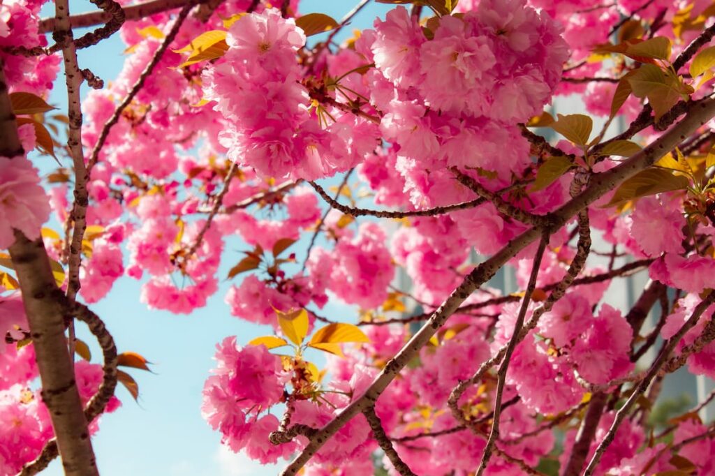 Spells for Spring Awakening - The Alchemist's Kitchen