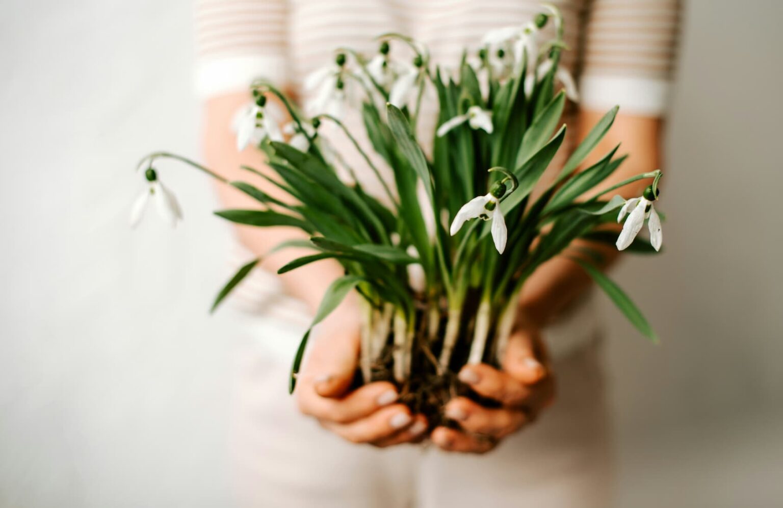 Rituals and History of Imbolc - The Alchemist's Kitchen