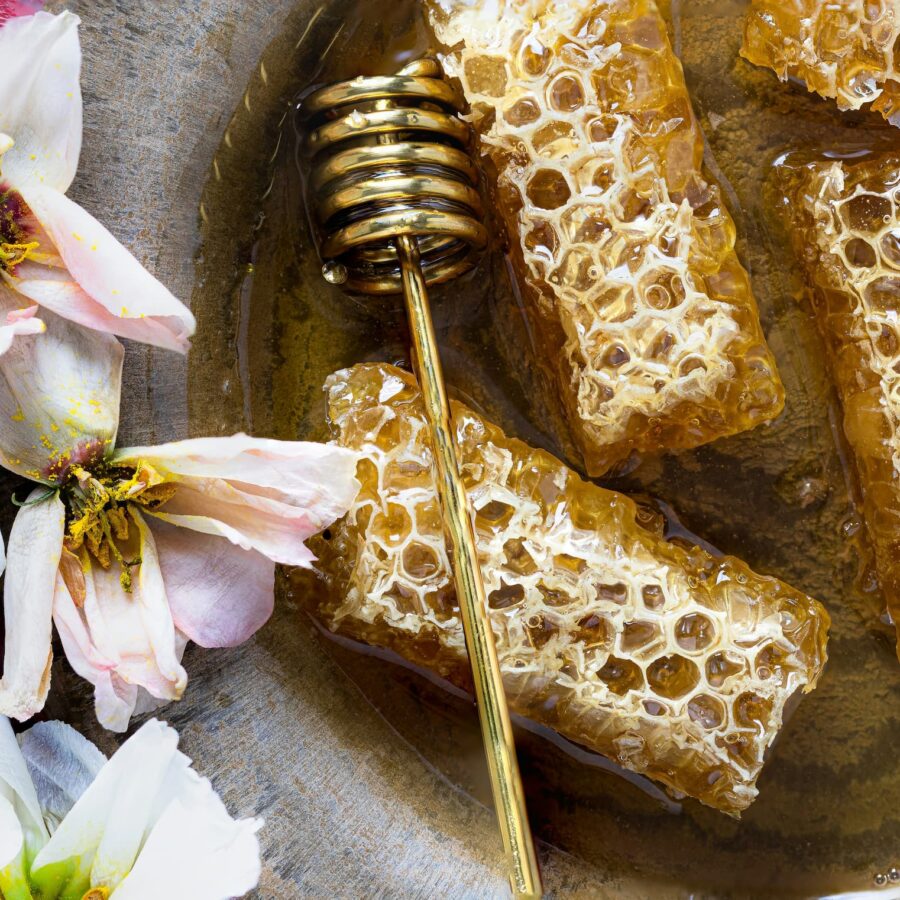 Gromwell Root: A Natural Anti-Viral Ally - The Alchemist's Kitchen
