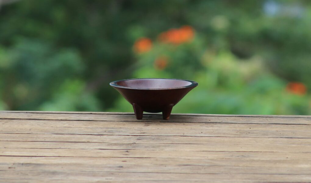 Kava: Euphoria and Relaxation - The Alchemist's Kitchen